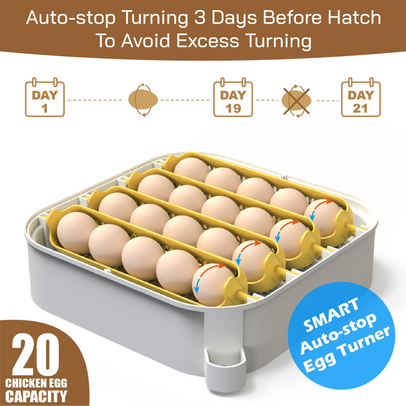 Latitude Run® 20 Egg Incubator With Humidity Display, Egg Candler, Automatic Egg Turner, For ...